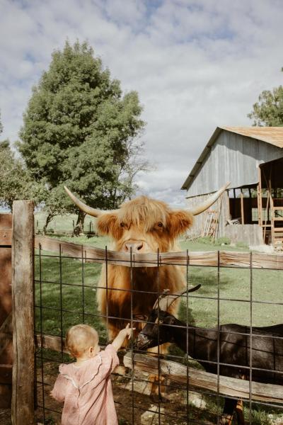 Gîte à La Ferme - Animaux Et Séjour Ressourçant - Jura