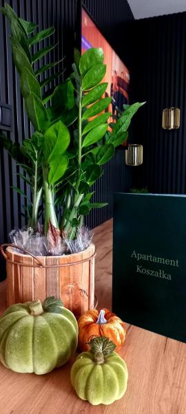 Apartament Koszałka - Łeba