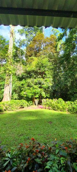 Beach Jungle House For 6 With Ac - コスタリカ