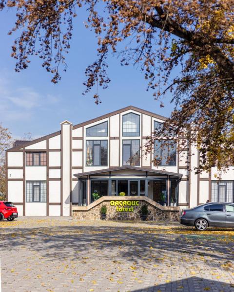 Qachaquch Forest - Республика Дагестан