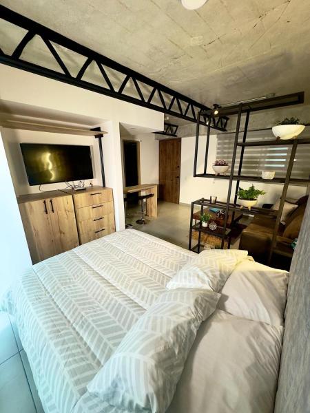 Apartaloft Zoho - Santa Rosa de Cabal