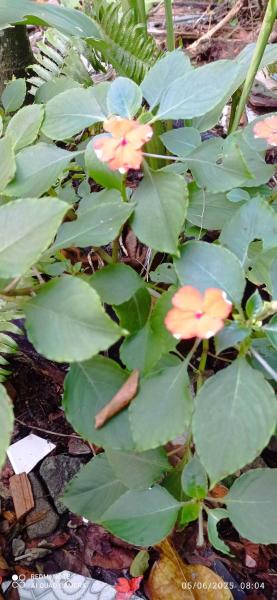 Casa Cop 30 - Bethlehem, PA