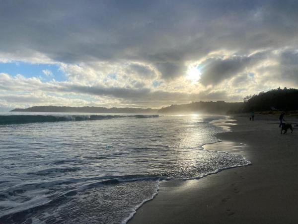 Casita Vista Waiheke Beaches Vines Children Pets - Maraetai