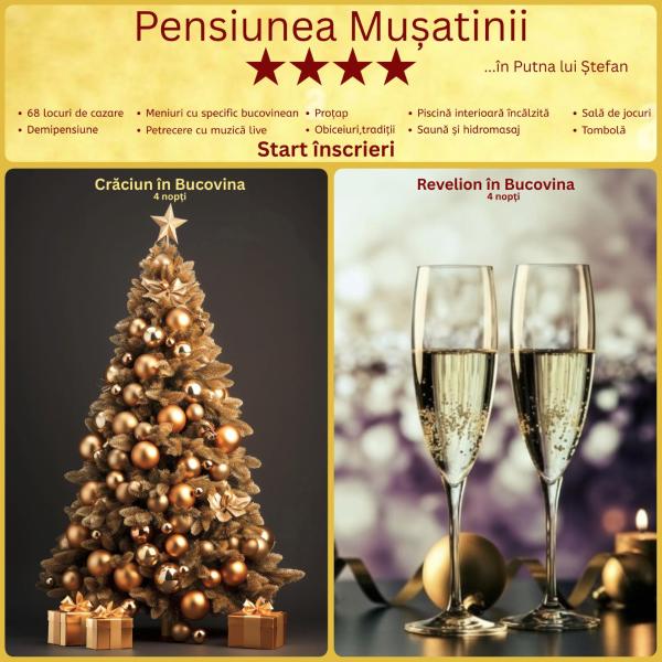 Pensiunea Mușatinii - Romania