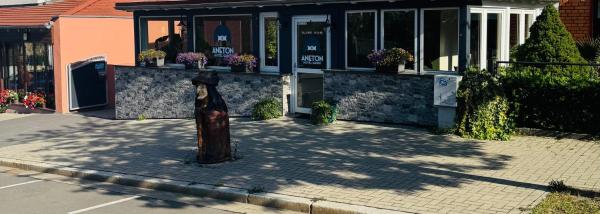 Aneton Garni Hotel - Thale