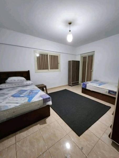 Safari Home - Jordania