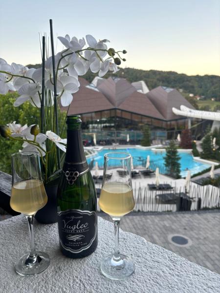 Apartman O Terme Olimia - Podčetrtek