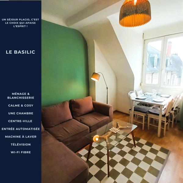 Le Basilic - T2 - Centre-ville - Cosy - Wifi - Tv - Tours