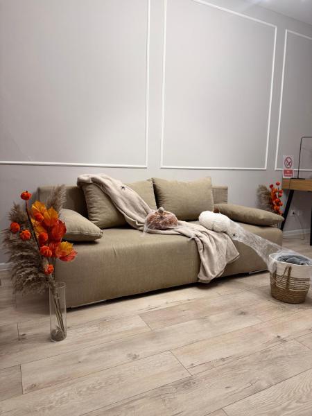 Serenity Oasis 3 - Brassó