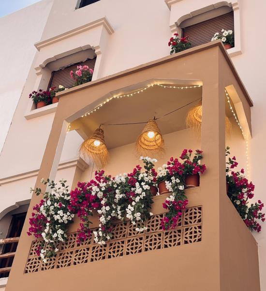 Wild Surf Morocco - Agadir