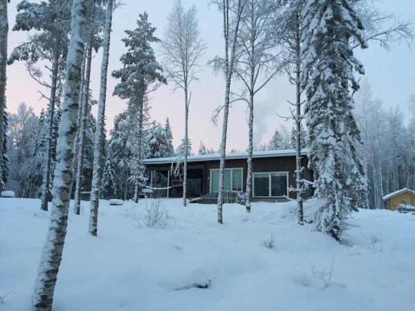 Lapland Lakefront Villa -Santa & Northern Lights - Ranua