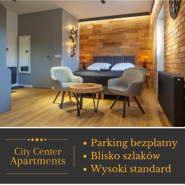Apartament City Center Modern Loft 2 - Bezpłatny Parking - Krynica-Zdrój