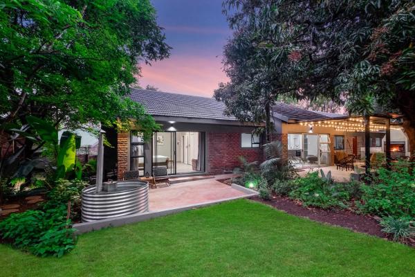 Honeysuckle - Tzaneen