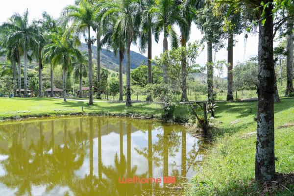 Suite Em Macae Com Mini Fazendinha E Piscina - Macaé