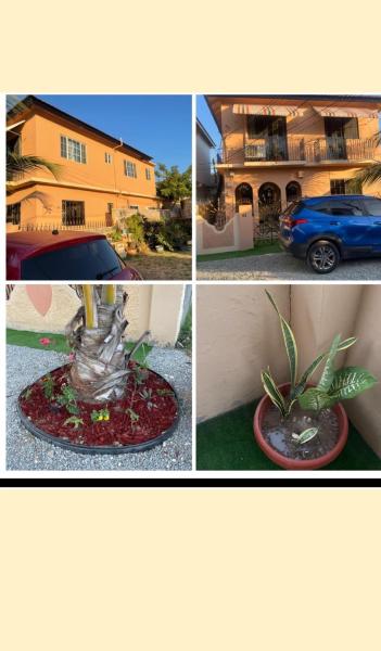 Perfect Vibez - Jamaica