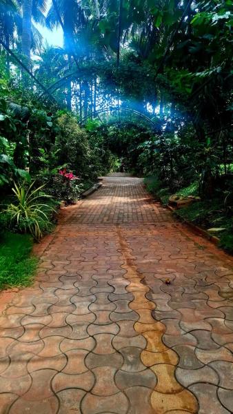 Nesaravana - Ecostay - Kerala