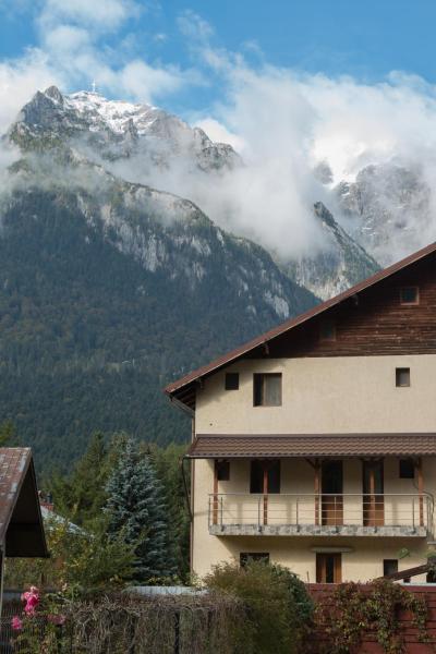 Amber`s Vila - Bușteni