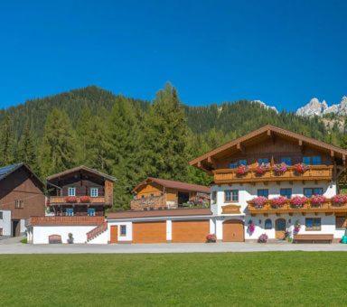 Appartmenthaus Geroldhof Inklusive Sommercard - Ramsau am Dachstein