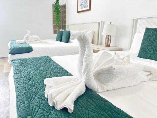 2q Beds Studio Apt With Shared Pool 18 - Clearwater, FL
