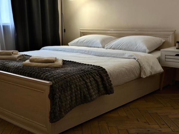 Philharmonic Square 2-bedroom Apartment - Chernivtsi