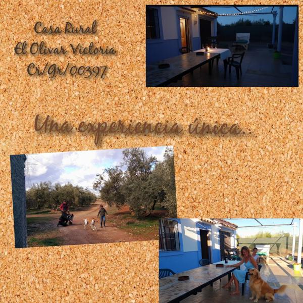 Casa Rural El Olivar Victoria - Pozo Alcón
