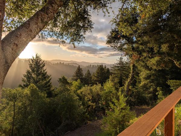 Redwood Haven Your Santa Cruz Mountains Gateway - San José