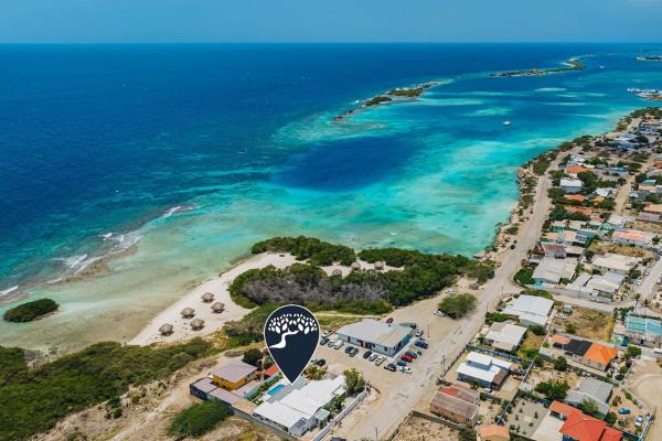 New 6 Bed 6 Bath Pool - Bocobay Mangel Beach House - Aruba