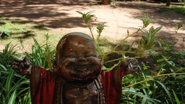 Recanto Green - Novo Hamburgo