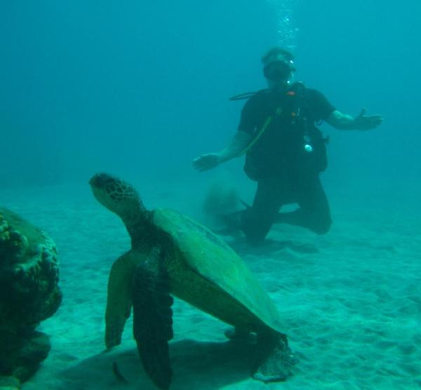 Milowai Ma'alaea - Maui, HI