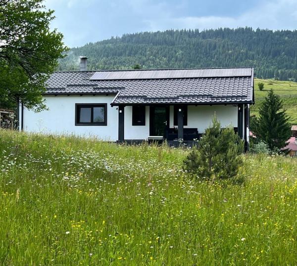 Casa Ranio - Toplița
