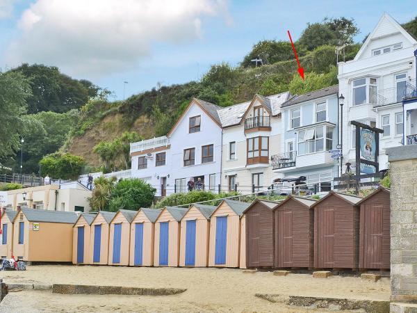 Chine Bluff - Isle of Wight