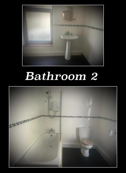 The Phoenix - Swansea