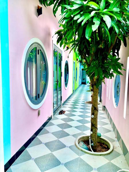 Thao's House - Tỉnh Bình Thuận