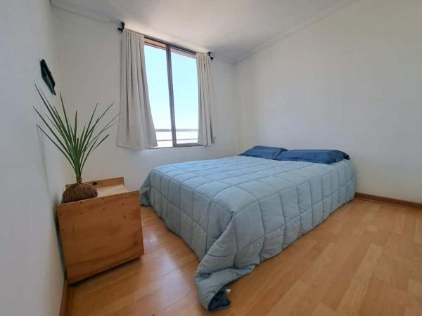 Habitación Con Baño Privado En Departamento Compartido - Santiago del Chile