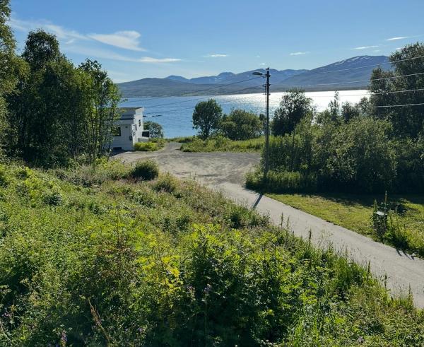 Koselig Leilighet Med Havutsikt - Tromsø