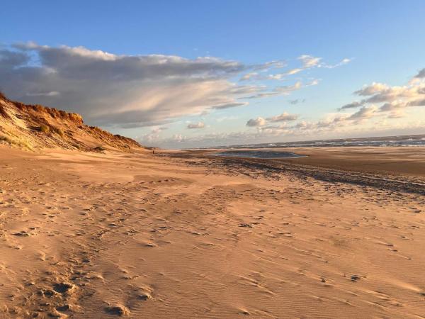 10 Person Holiday Home In Ringkøbing - Denmark