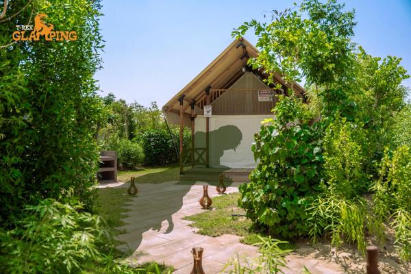 T-rex Glamping - 阿拉伯聯合大公國