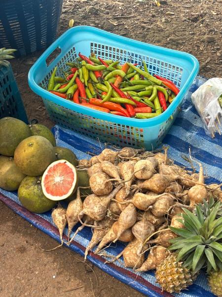 Yidan Farmstay In Chiang Dao - Chiang Mai