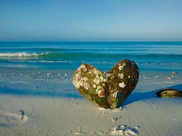 Stylish Retreat Walk 2dtwn Bikes L Patio L Beach - Saint Petersburg, FL