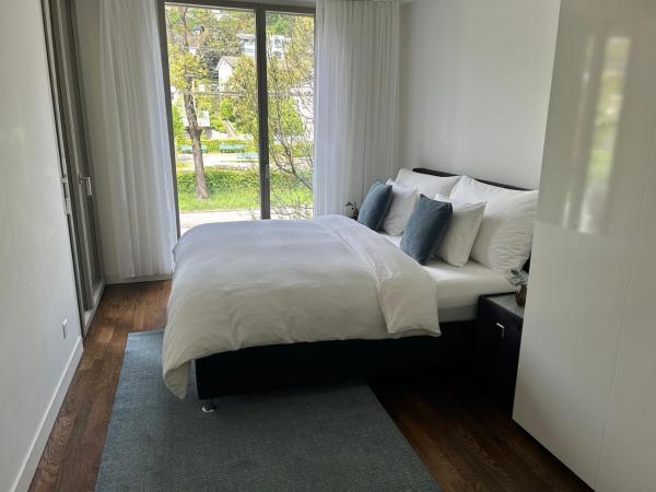Beautiful 3bedroom Apt - Lucerne