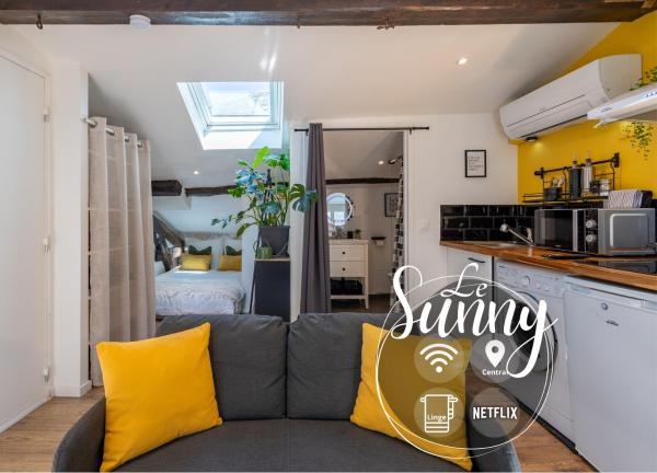 Loft Hortensia Climatisé Hyper Centre Castres - Castres