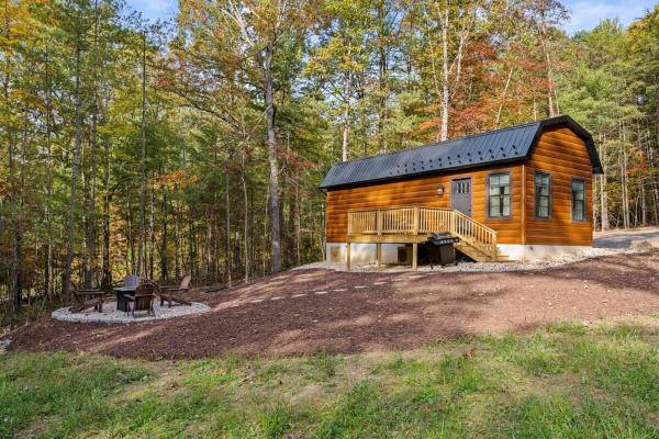 Cozy Family Luray Cabin W Fire Pit Grill Wifi & More - Stanley, VA