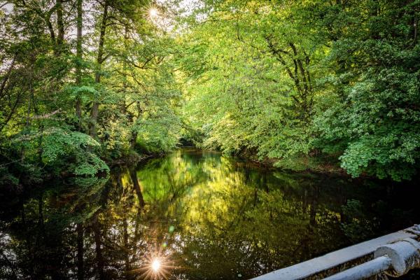 Harz Cottage - Braunlage