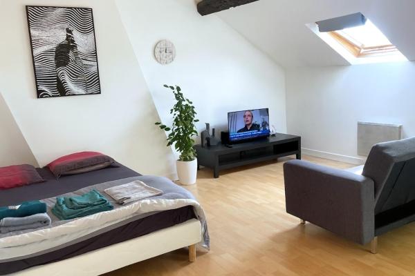 Studio 3 Apartment With Unique Cathedral View - Meaux