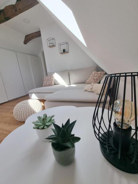 Lichtdurchflutete Dachgeschosswohnung Mit Charme - Wildeshausen