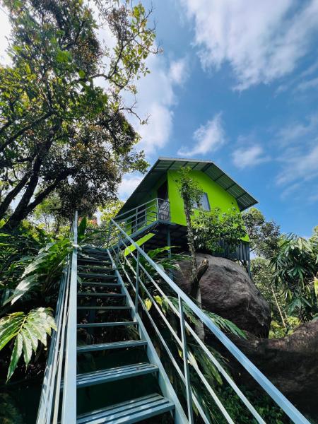 Hill Valley Farm Resort - Kerala