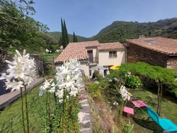 La Fontchaude (Cabrespine) - France