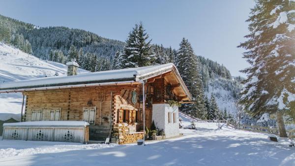 Buchegg Alm - Saalbach-Hinterglemm