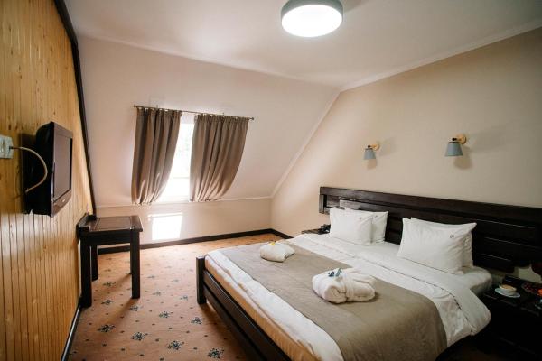 Rubel Aparthotel&spa - Яремче