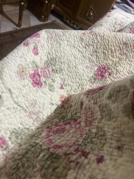 East Pyramids View - Giza